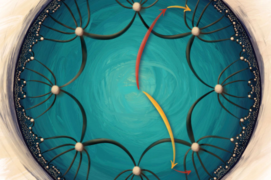 The next steps - Green and White - Alumni and Friends | University of ...